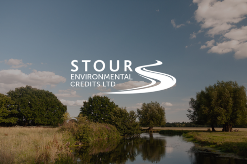 Evidence-Based Environmental Credit Pricing to Support Sustainable ...